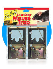 EAGLES-7 LAST STEP MOUSE TRAP — Gone Broody
